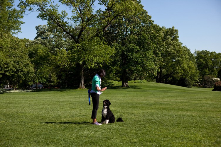 Photo Gallery: Bo the First Dog's First Term at White House | TIME.com
