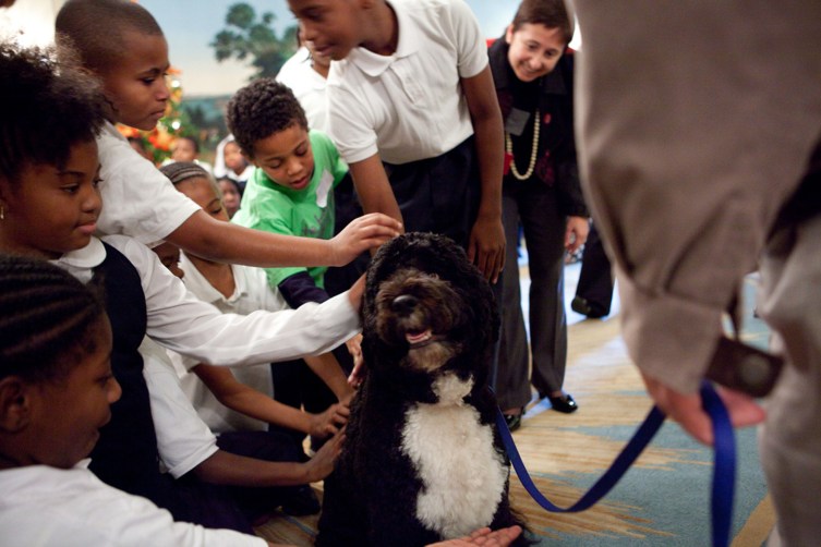 Photo Gallery: Bo the First Dog's First Term at White House | TIME.com